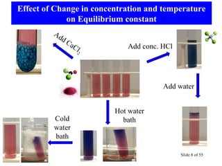 chemical equilibrium | PPT
