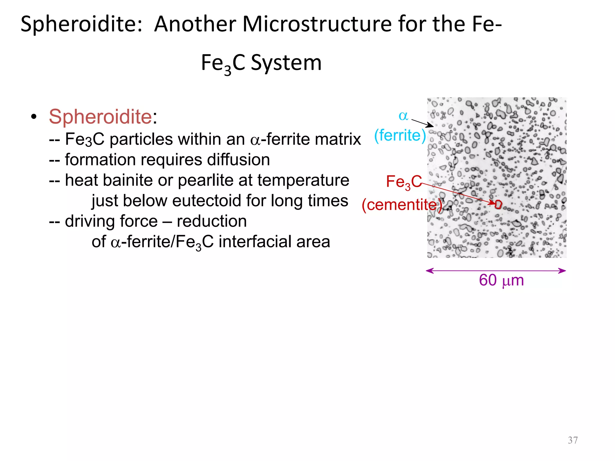 BME 303 - Lesson 7 - Phase Transformation.pdf