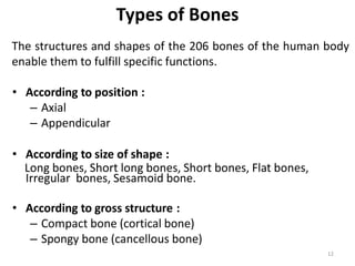 BME 305 - Lesson 8 - Biomechanics of Bone - Part I.pptx