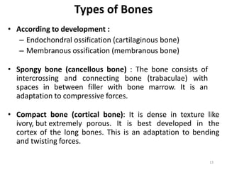 BME 305 - Lesson 8 - Biomechanics of Bone - Part I.pptx