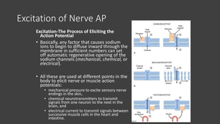 Molecualr mechanism of Skeletal Muscle Contraction | PPT