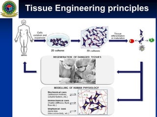 BME7507_Introduction_Tissue Engineering.ppt