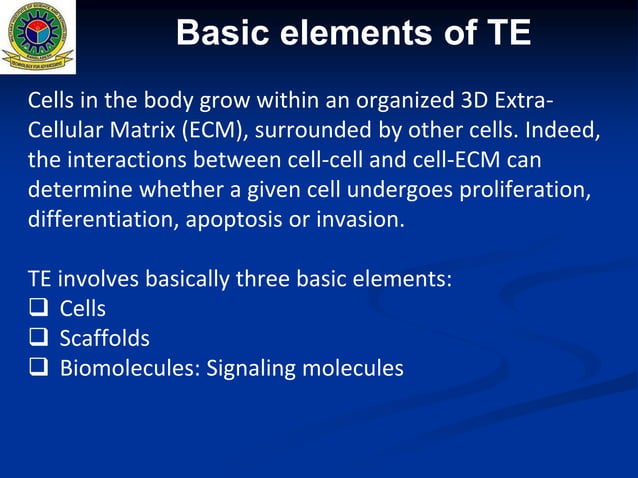 BME7507_Introduction_Tissue Engineering.ppt