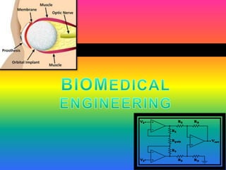 Bio Medical Engineering | PPTX