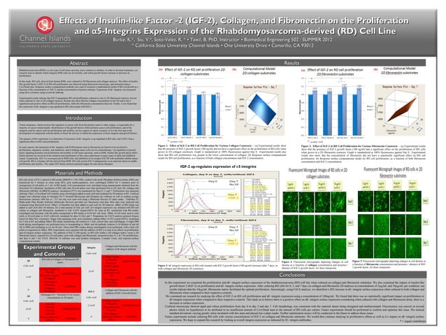 Cancer Research: Effects of Insulin-like Factor -2 (IGF-2), Collagen ...