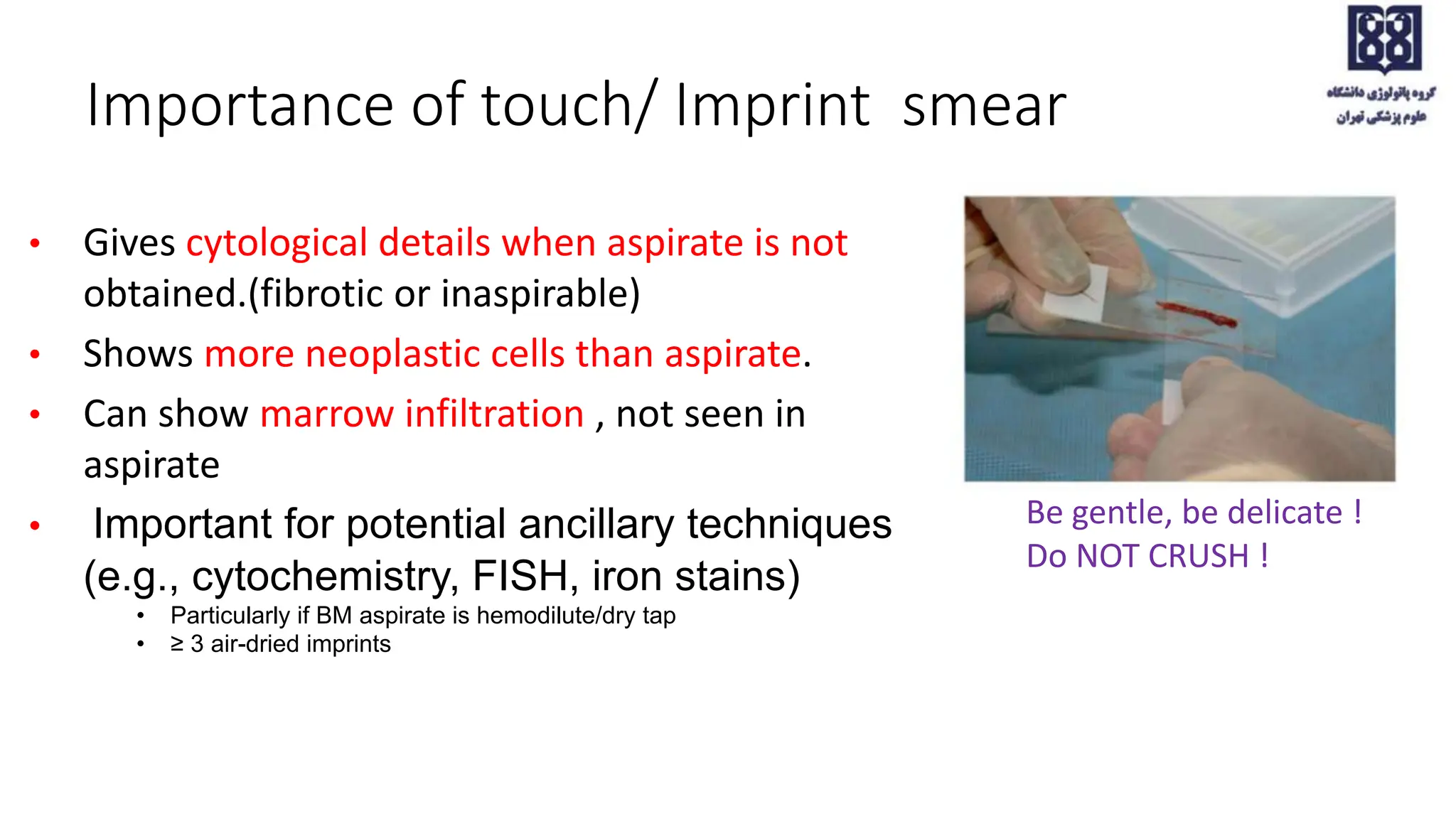 Bone Marrow evaluation EVALUATION (PBS+BMA).pptx