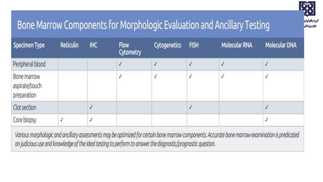 Bone Marrow evaluation EVALUATION (PBS+BMA).pptx
