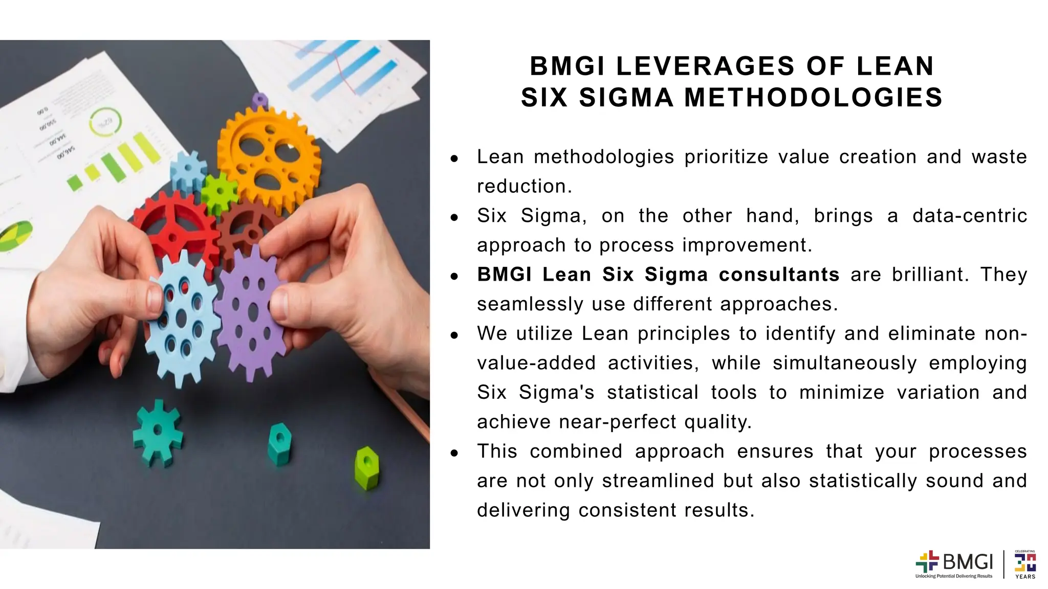 BMGI Lean Six Sigma_ Excellence in Process Optimization.pdf
