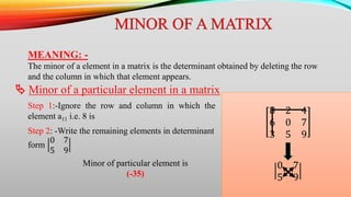 Matrices & Determinants | PDF