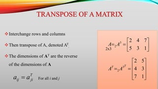 Matrices & Determinants | PDF