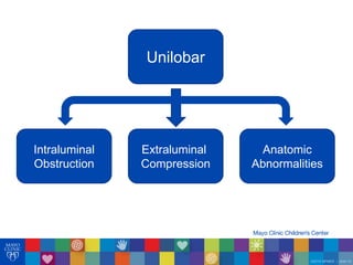 Recurrent pneumonia in children | PPTX