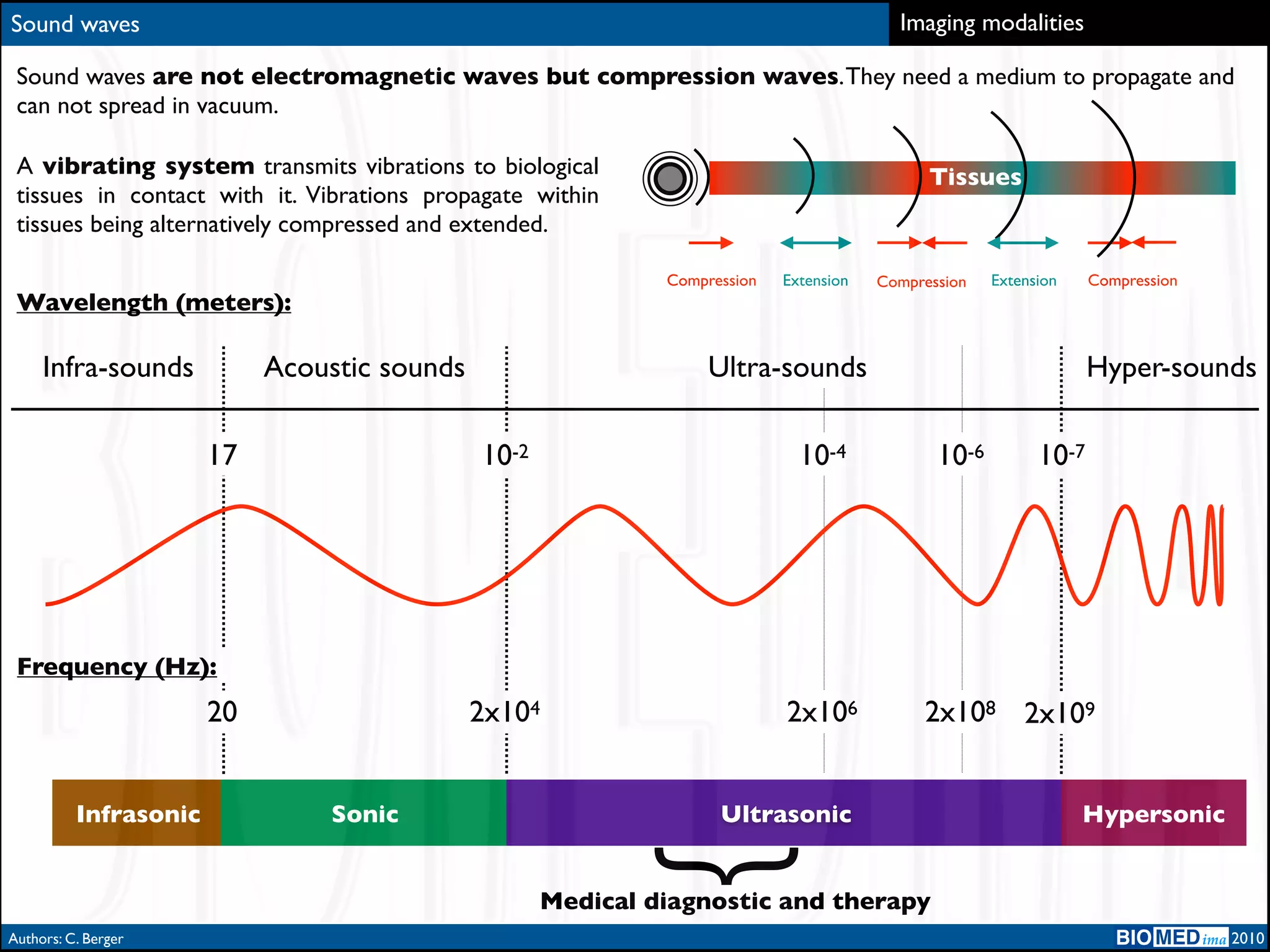 BioMedima - Introduction to imaging modalities | PDF