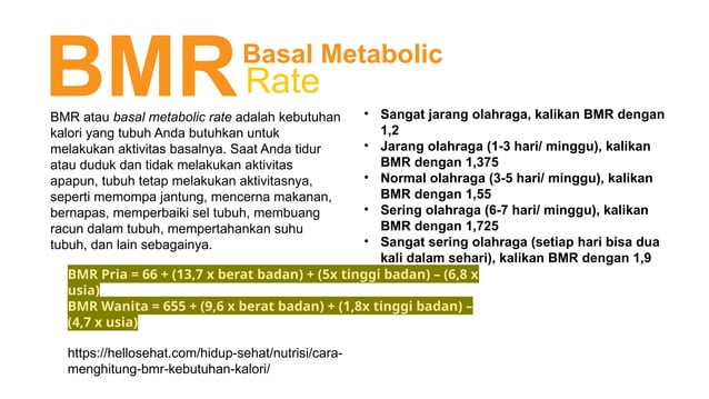 Penjelasan Body Mass Index dan Basal Metabolic Rate | PPT