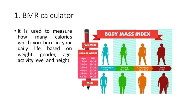 BMI Calculator for Men Over 50 - The Way to Prevent Obesity