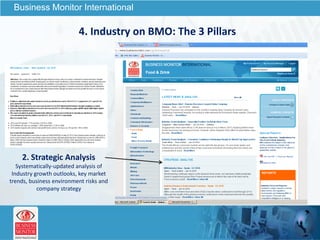 BMI Industry Summary | PPT