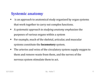 BMI introduction for human anatomy .pptx