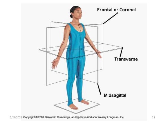 BMI introduction for human anatomy .pptx