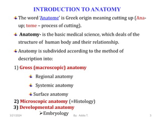 BMI introduction for human anatomy .pptx