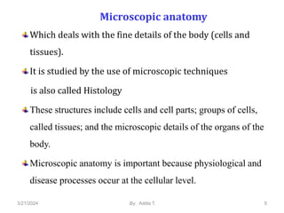 BMI introduction for human anatomy .pptx