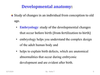 BMI introduction for human anatomy .pptx