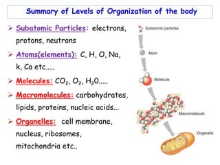 BMI introduction for human anatomy .pptx