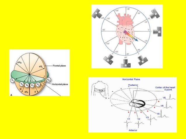 Electrocardiogram pptx | PPT