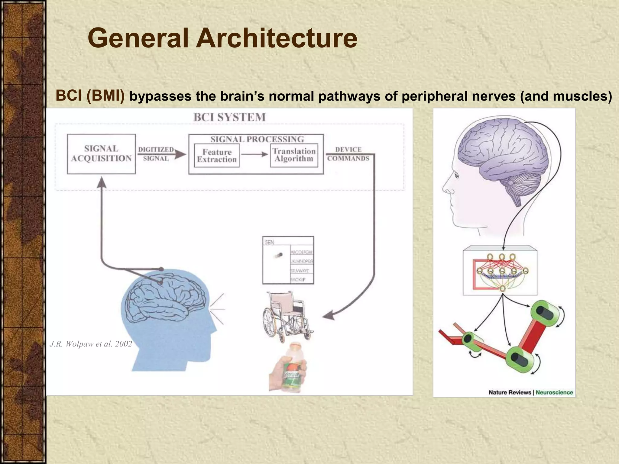 bmi SP.ppt | Brain and Nervous System Disorders | Diseases and Conditions