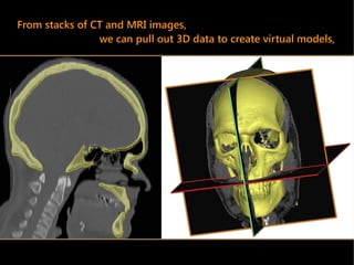 Artists' Rentrée to Anatomy Through Medical Imaging | PDF