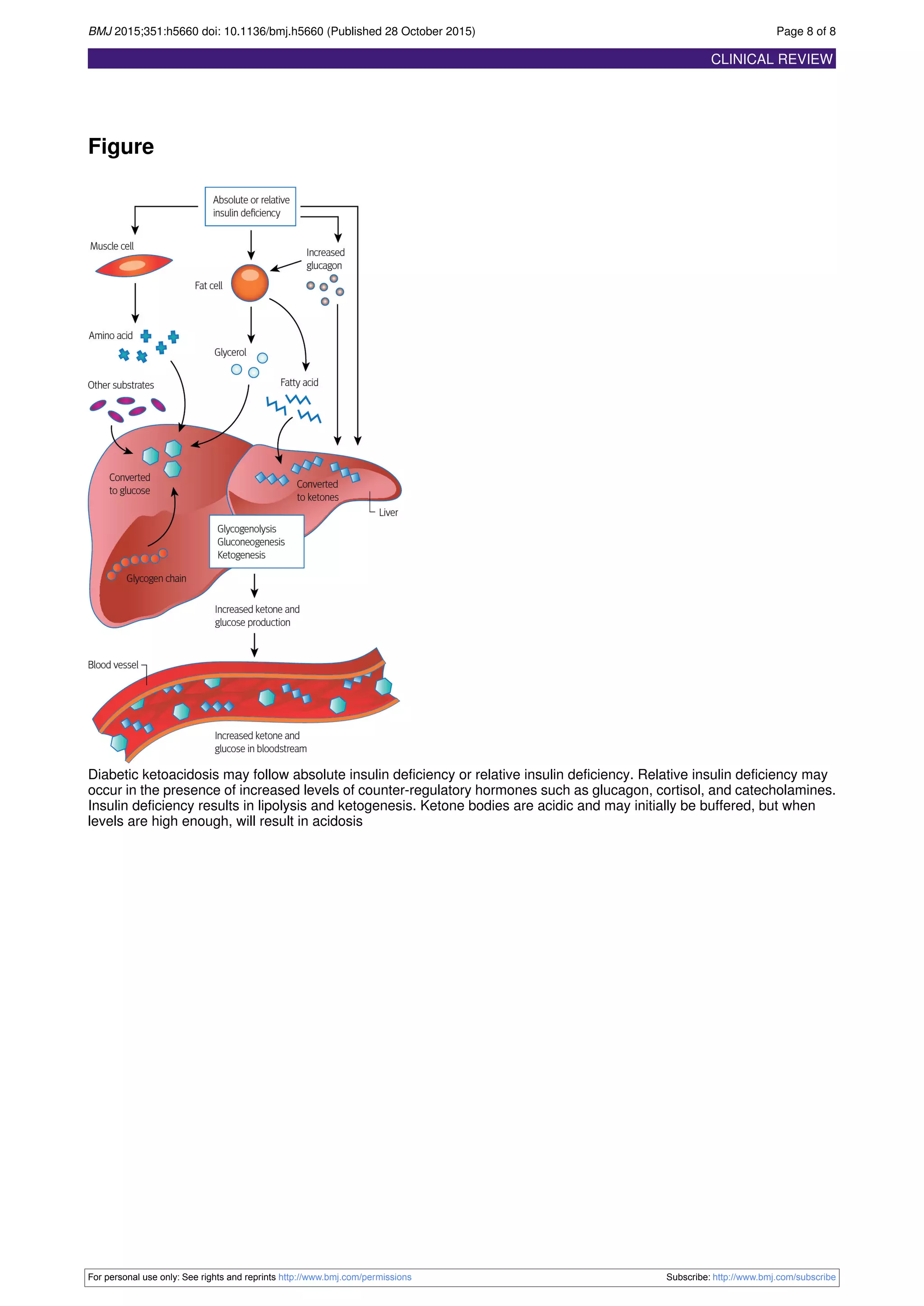 DKA clinical review | PDF