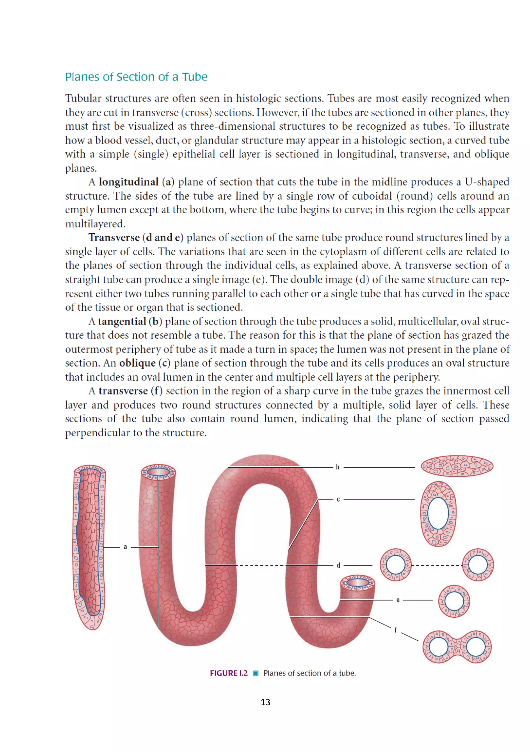 Histology Lab manual | PDF