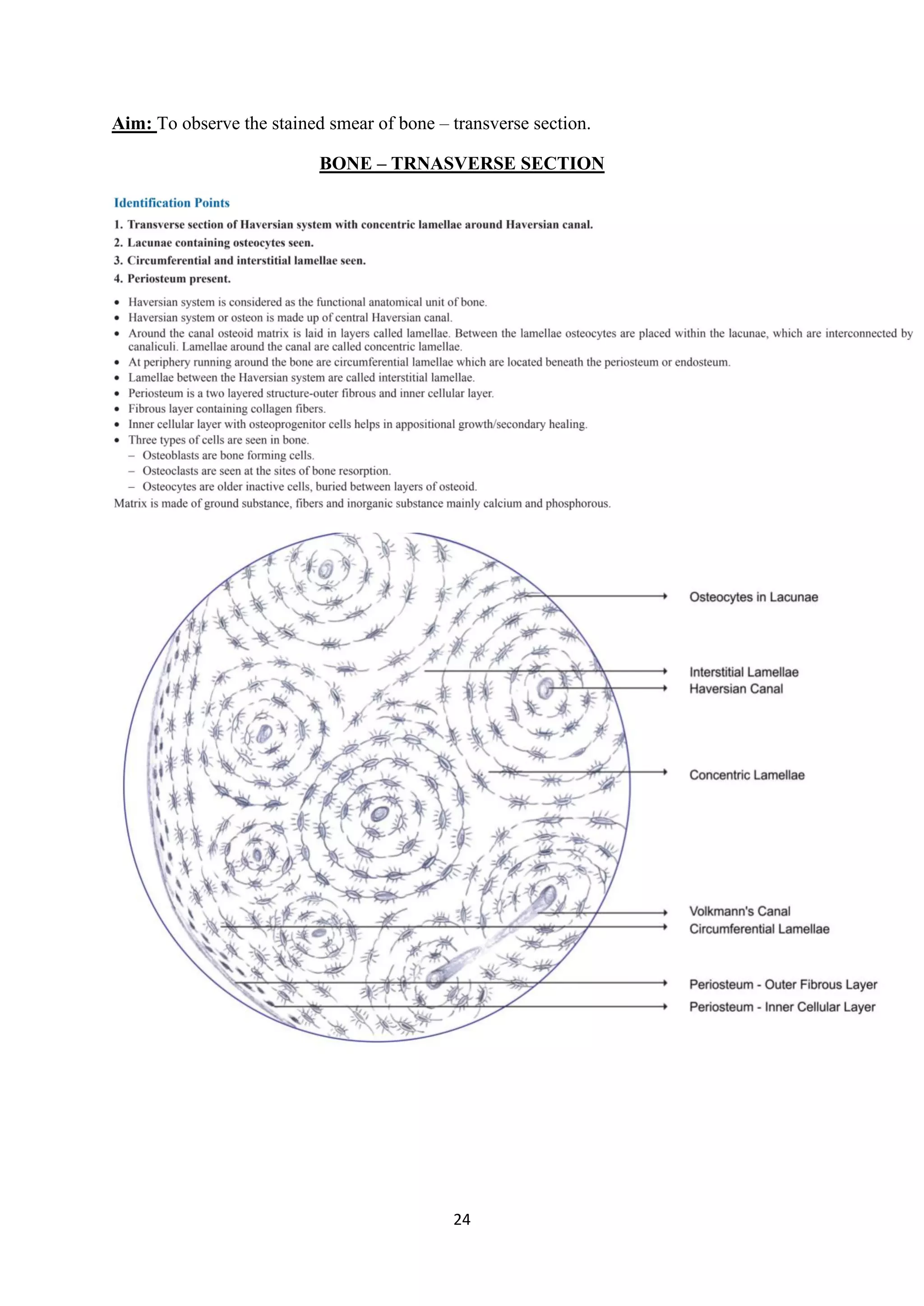 Histology Lab manual | PDF