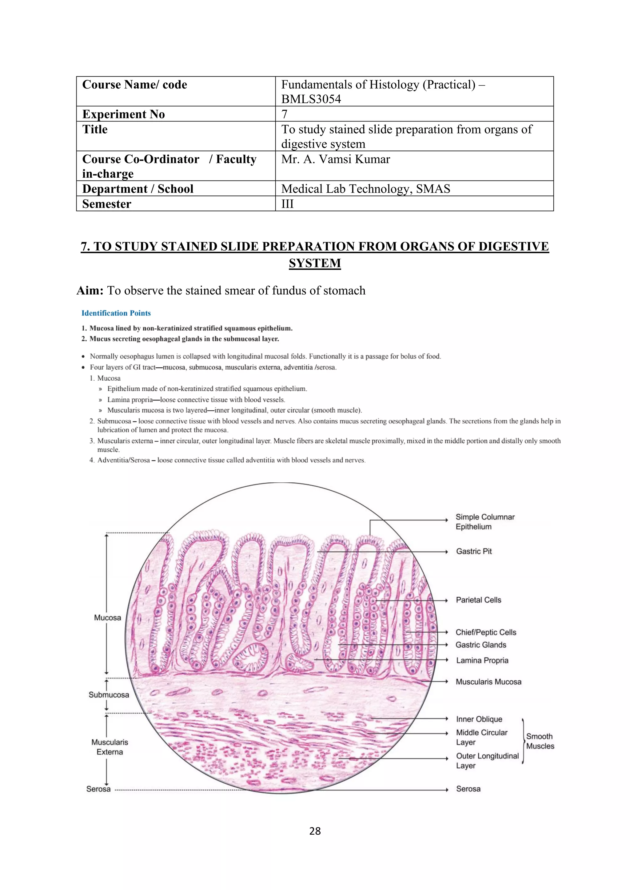 Histology Lab manual | PDF