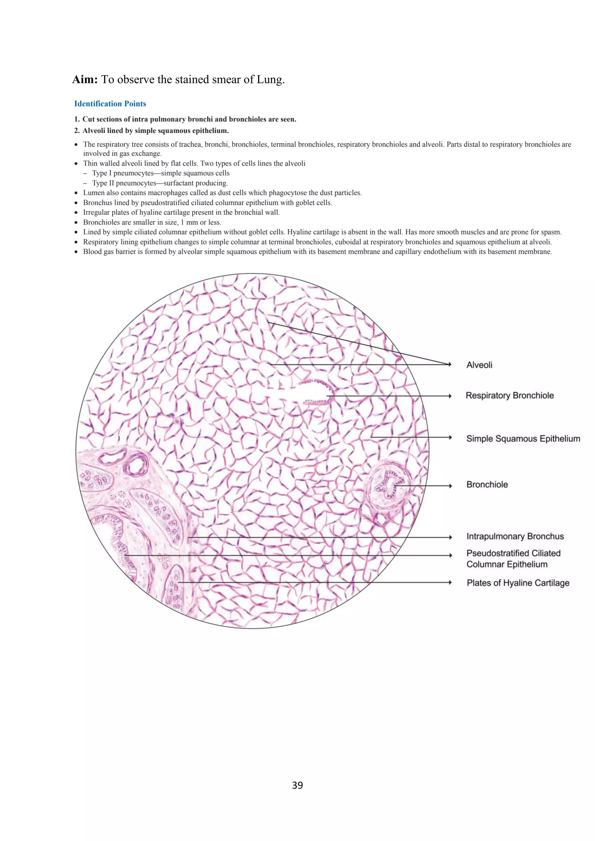Histology Lab manual | PDF