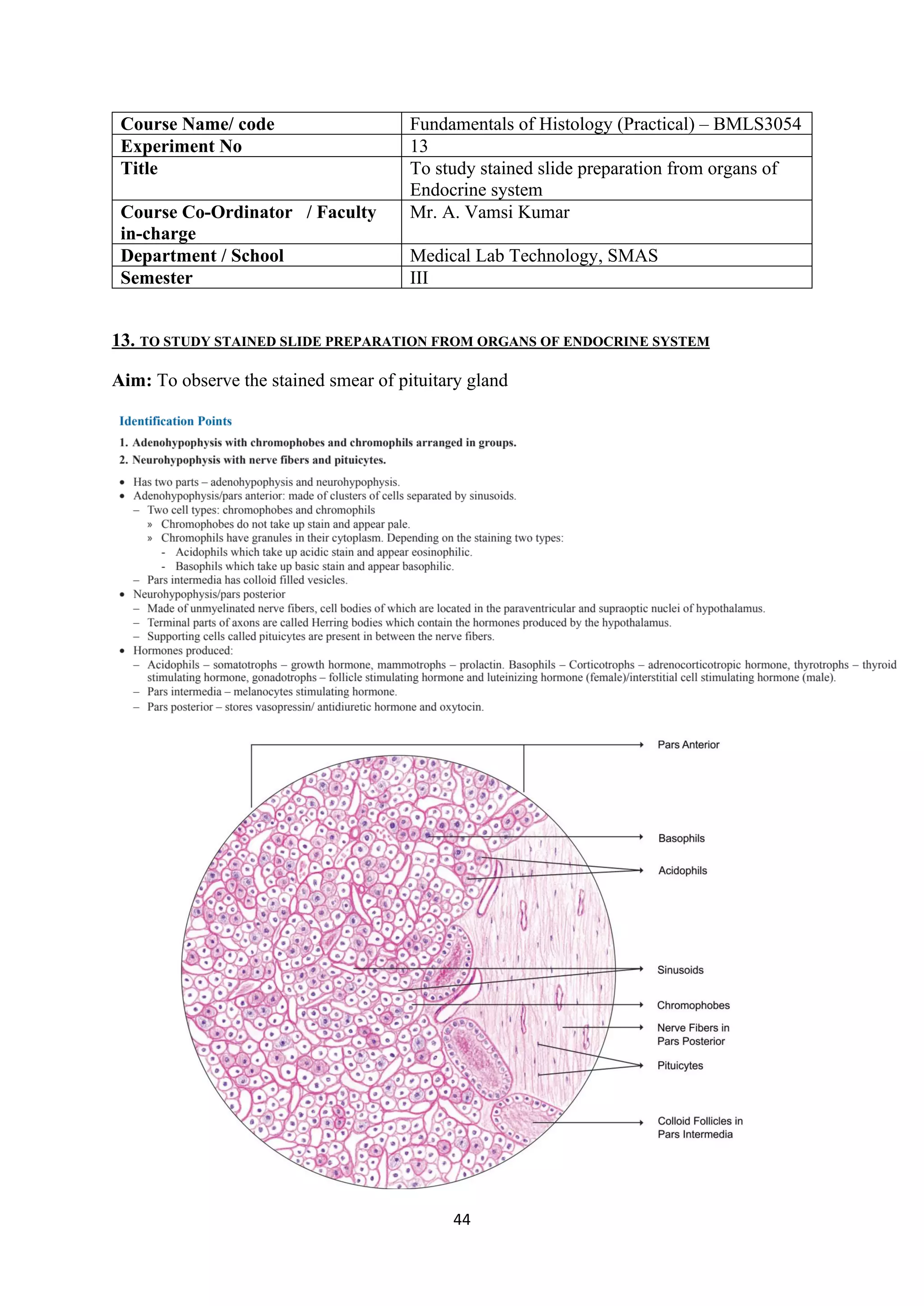 Histology Lab manual | PDF