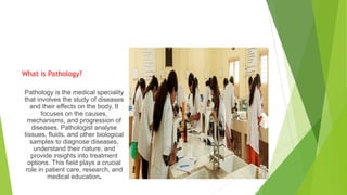 Unveiling pathways: Exploring careers as a Laboratory and Critical Care ...