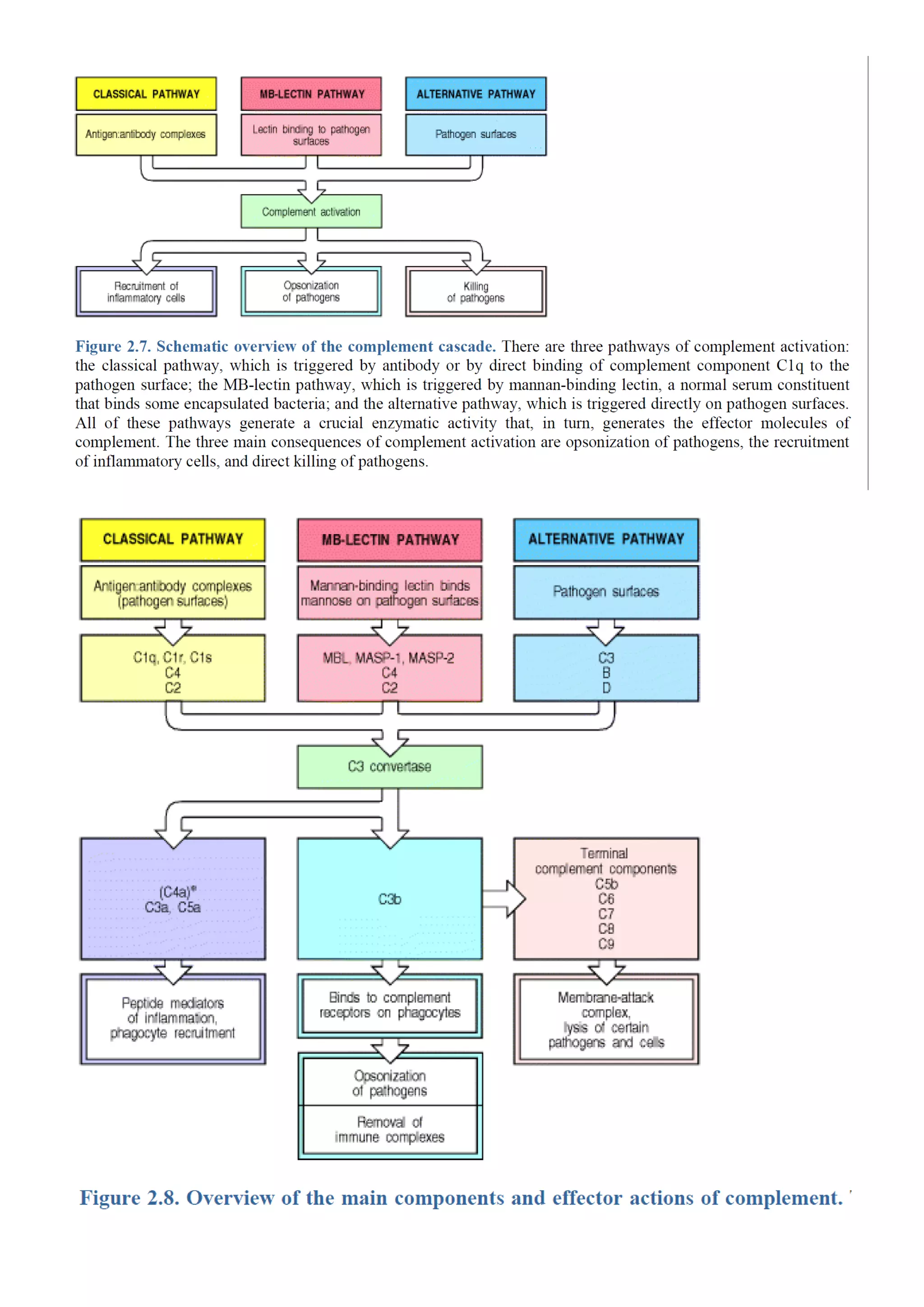 Compliment system, Cellular immunity and Humoral immunity, Immune ...