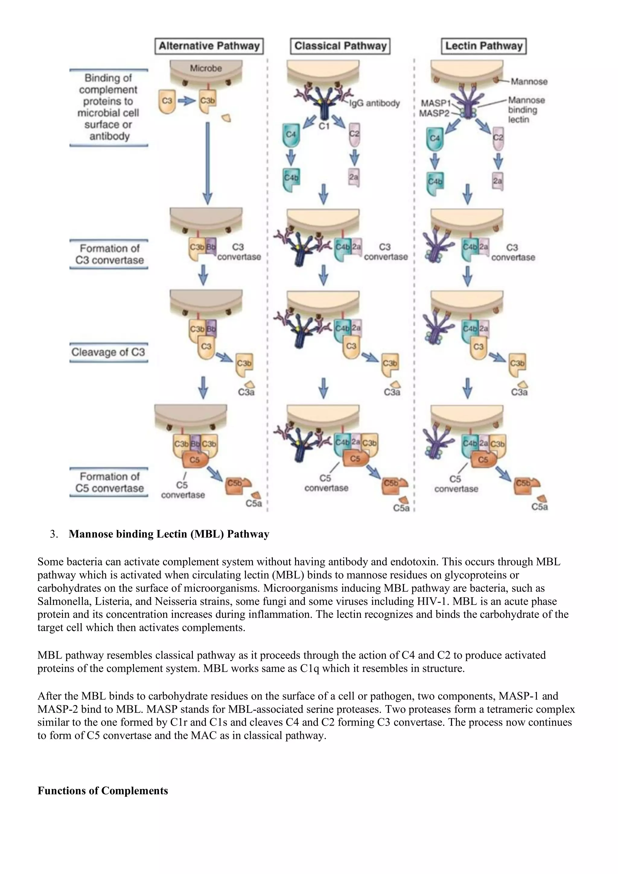 Compliment system, Cellular immunity and Humoral immunity, Immune ...