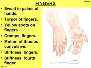 Bmm conium mac | PPT