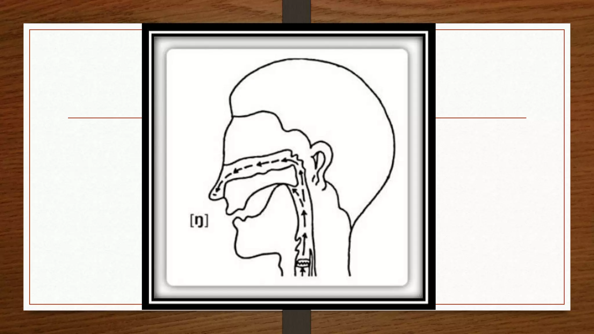 BMMB3013 Proses Penghasilan Bunyi Konsonan | PPTX