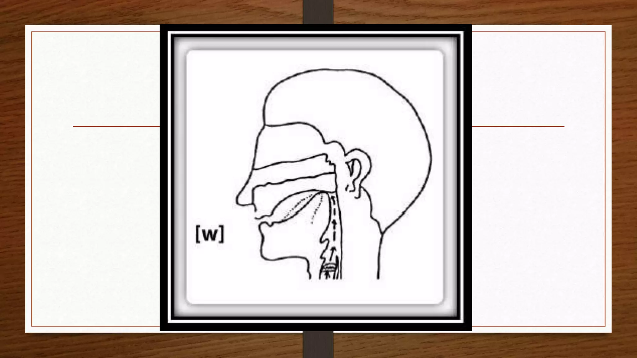 BMMB3013 Proses Penghasilan Bunyi Konsonan | PPTX