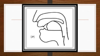 BMMB3013 Proses Penghasilan Bunyi Konsonan | PPTX