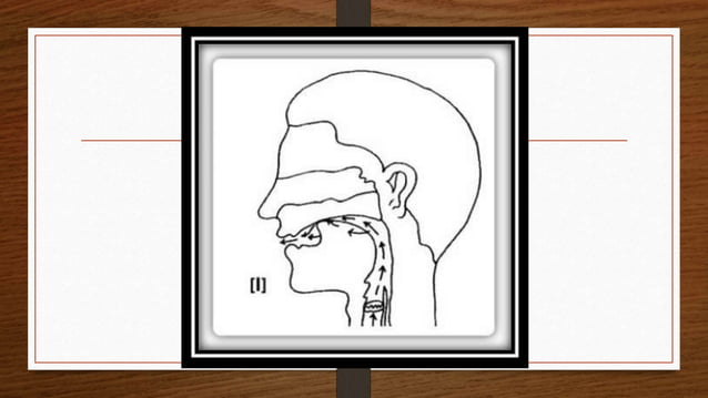 BMMB3013 Proses Penghasilan Bunyi Konsonan | PPTX