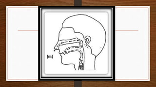 BMMB3013 Proses Penghasilan Bunyi Konsonan | PPTX