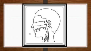 BMMB3013 Proses Penghasilan Bunyi Konsonan | PPTX