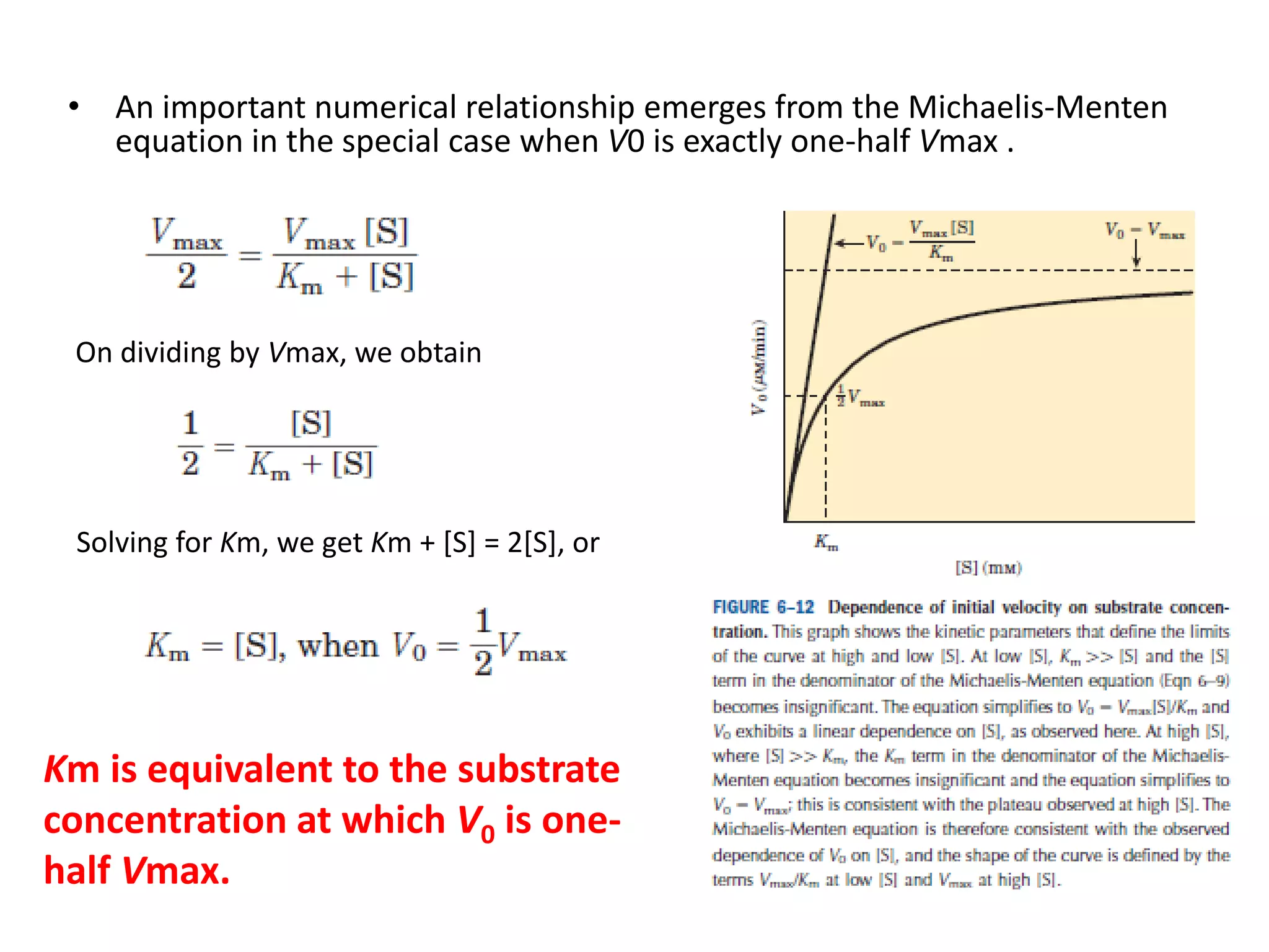 Bmm480 Enzymology lecture-3 | PDF