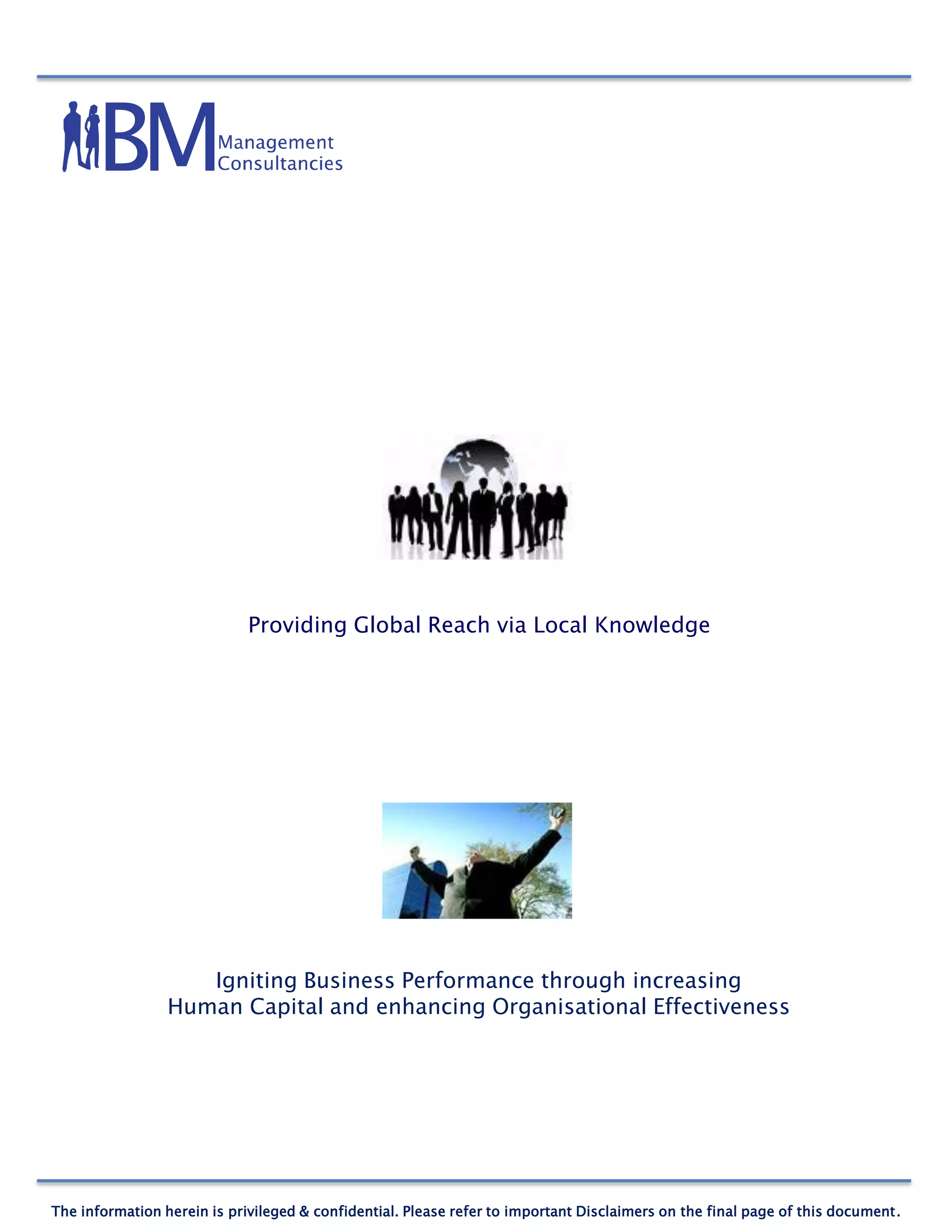 BM Management Consultancies E-Brochure | PDF