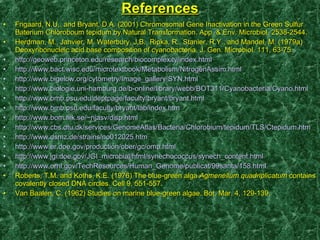 Genomic Analysis Of Nitrogen Fixation In Synechococcus Sp. PCC 7002 and ...