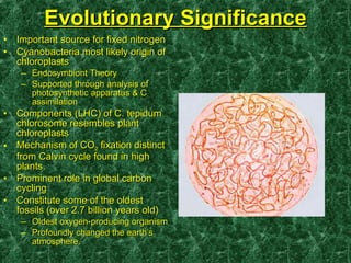 Genomic Analysis Of Nitrogen Fixation In Synechococcus Sp. PCC 7002 and ...