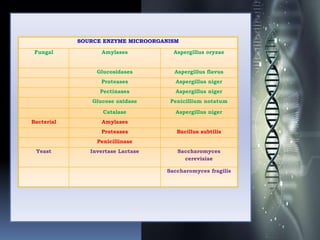 Bmm microbial enzymes | PPT