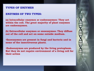 Bmm microbial enzymes | PPT